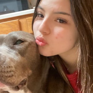 Mallard Duck Wall Art, Wall Print Boys Room, Duck Hunting Nursery Art ...