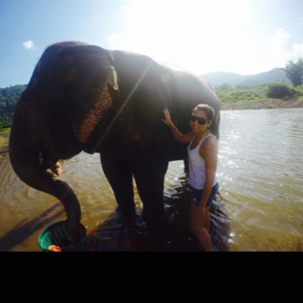 The Big One Wave Birthday Themed Cake Topper, Beach Themed Cake Topper ...