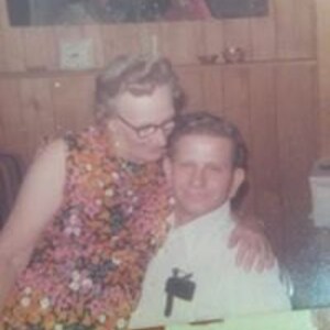 Nesting Birds european Robin Mega Bundle Charlotte Mason Homeschool ...