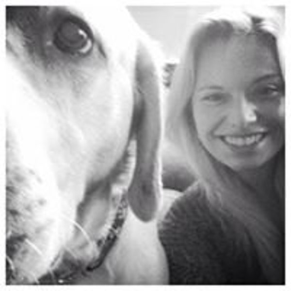 JJK Gojo Anime Light Frame Box Painting Decor - Etsy