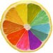 splaty - Etsy