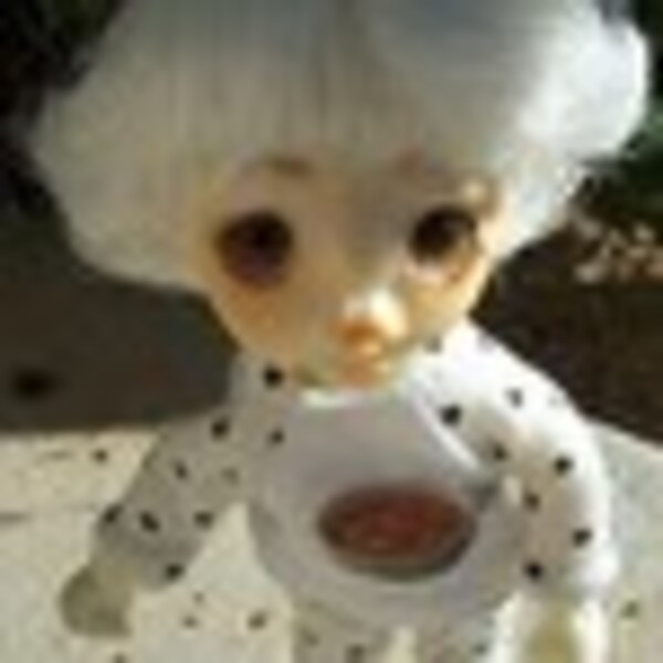 Miniature Ragdoll for 20cm 22 Cm 27cm Dolls Pdf TUTORIAL in Japanese ...