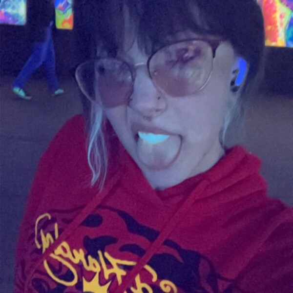 PAIR of Single Flare Tiger Iron Organic Stone Plugs With O-rings Gauges ...