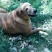buckster - Etsy