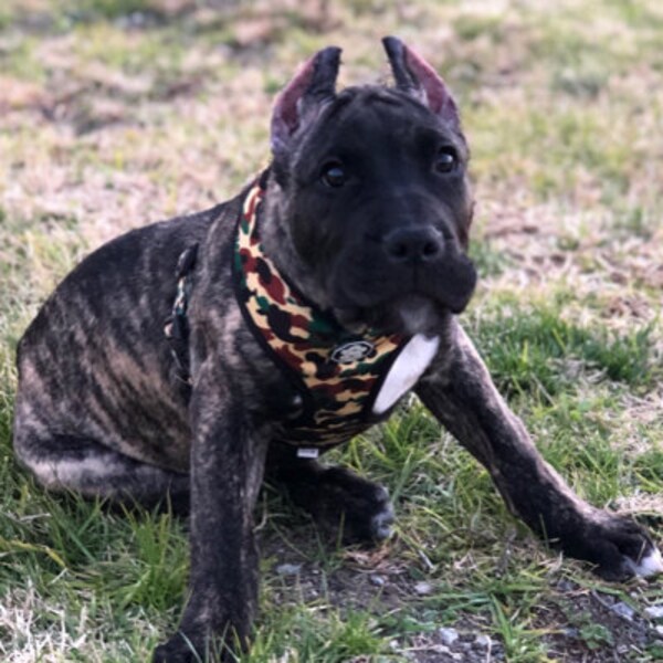 Filipino Pantry Filipino Art Gift Pinoy Pantry Philippines Art Pinoy ...