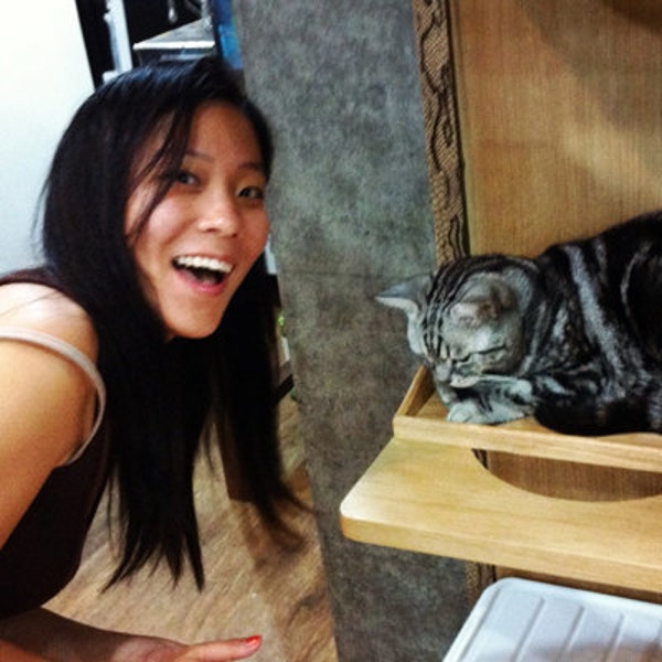 Gold 'oculus Draconis' Filigree Belt Ornate Baroque Dragon Eye Metallic ...