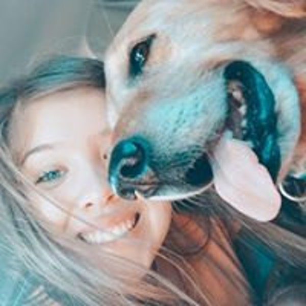 Printable Thank You Cards Business Template Poshmark Etsy Small ...