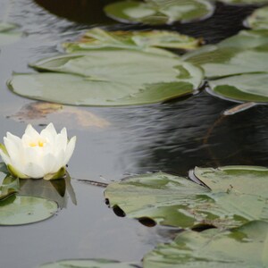 Sub Notes Block Schedule Sub Daily Log, Attendance Log, Teacher Report ...