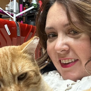 Editable Pastel Halloween Binder Covers and Spines Canva Template 8 ...