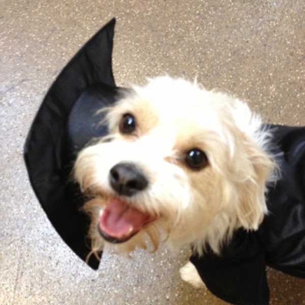 CODM Nyx starstruck 4K HD Wallpaper Android Wallpaper iPhone Wallpaper ...