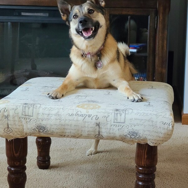 Medical Assistant Flag SVG - Etsy