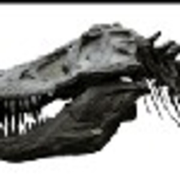 Top Banana Card - Etsy