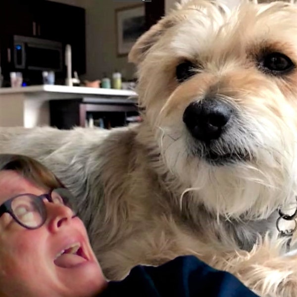 Pink Elephant Plush, Elephant Stuffed Animal, Cute Wildlife Stuffy Soft ...