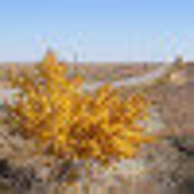 Riley Barton's favorite items - Etsy