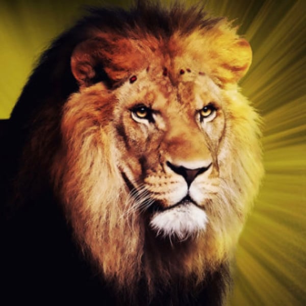 Cowgirl Boot Flowers, DIY Paint Party Template, Printable Canvas Art ...