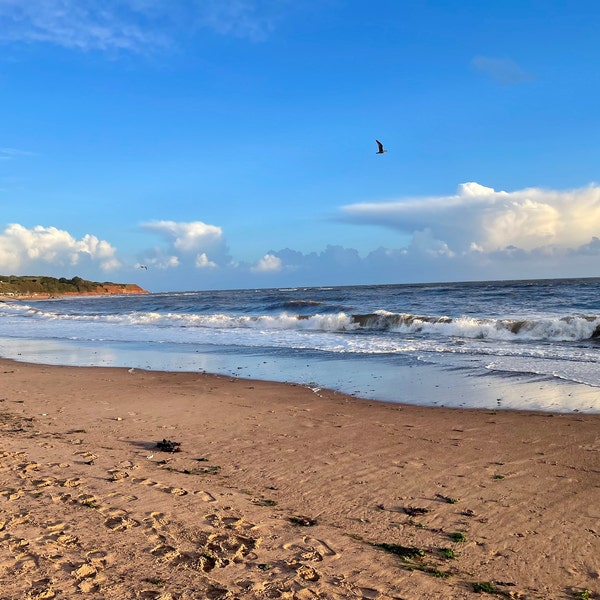 THE GANG Inspired by Life in a Southern Spanish Village a Line of Older ...