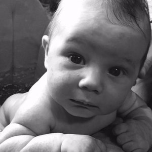 Save a Life Adopt Baseball Cap Animal Adoption - Etsy