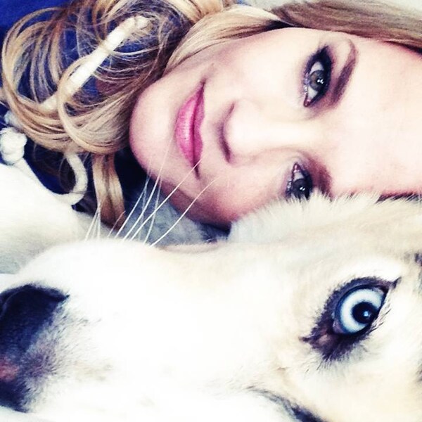 8 Tall Dark Wood Portland Peppermill Company Salt or Pepper Mill ...