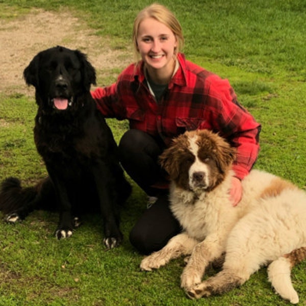 World's Greatest Boyfriend Award Certificate, 6 Month Anniversary ...