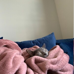 Arabian Nights Rug, Gorgeous Magic Carpet,tapestry Embroidery ...