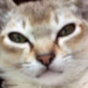 Pair of Vintage Chalet / Lorraine Glass Blue, Green, Amber and Clear ...