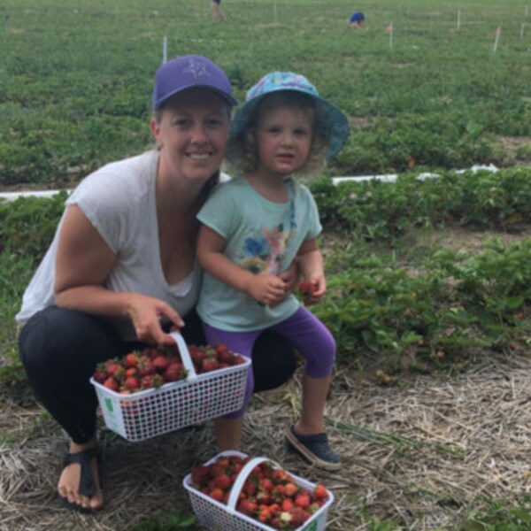 12 Pack Stress Relief Coloring Page, Elephant Digital Print, Filigree ...