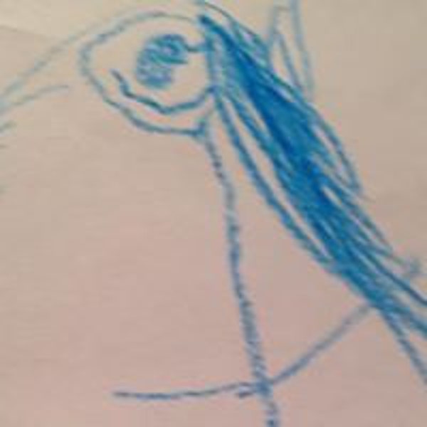 Coyote & Mongolian Lamb Fur Coat Sz S/M - Etsy