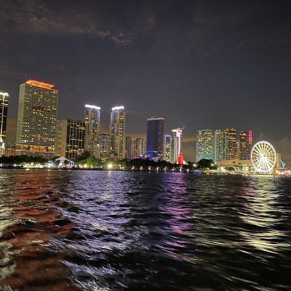 Caja De 100 Cascarilla Efun Santeria Osha Ifa Palo Egun Prenda Orishas ...