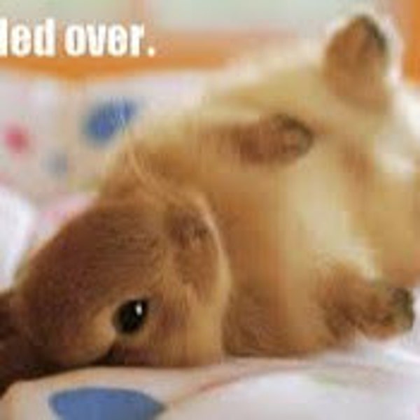 Life in the Dreamhouse Waterproof Vinyl Stickers, Schlond Poofa Sticker ...