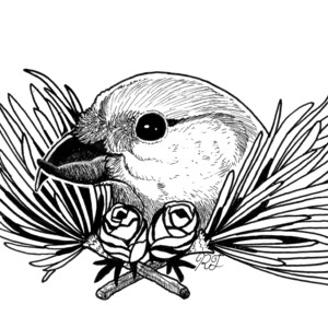 Bird Vinyl Stickers Common Eider, Red Crossbill, and Wood Thrush - Etsy