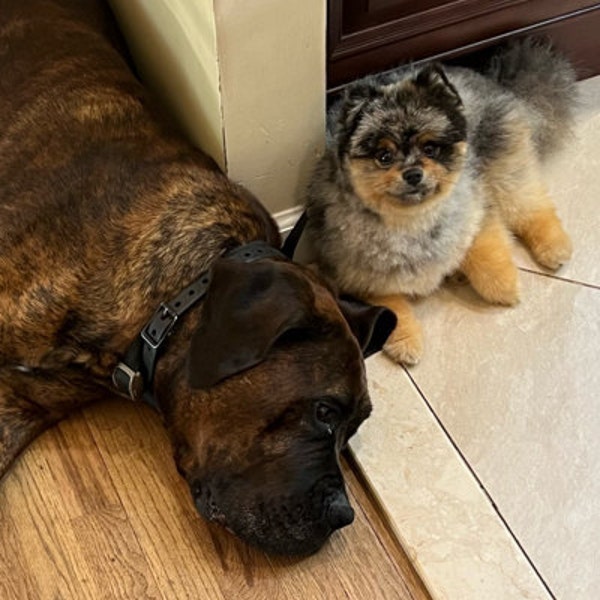 Aperol Spritz Pajamas Bachelorette Pajama Set Custom Matching Pajama ...