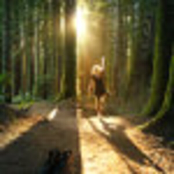 African Fabric and Wood Geometric Earrings With Cowrie Shells Dangle ...