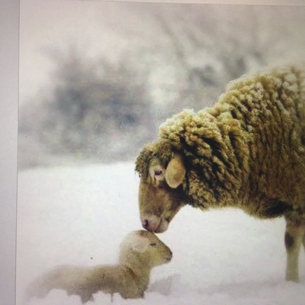 Primitive Cross Stitch Pinkeep Pattern Chelsea's Pinkeep - Etsy