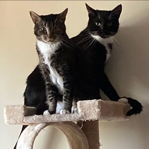 Triple Moon and Pentagram, Antiqued Print, Wicca Symbol, Pagan ...