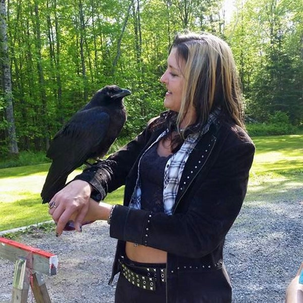 Digital Backdrop Maternity Wings Set of Two Angel Wings Digital ...