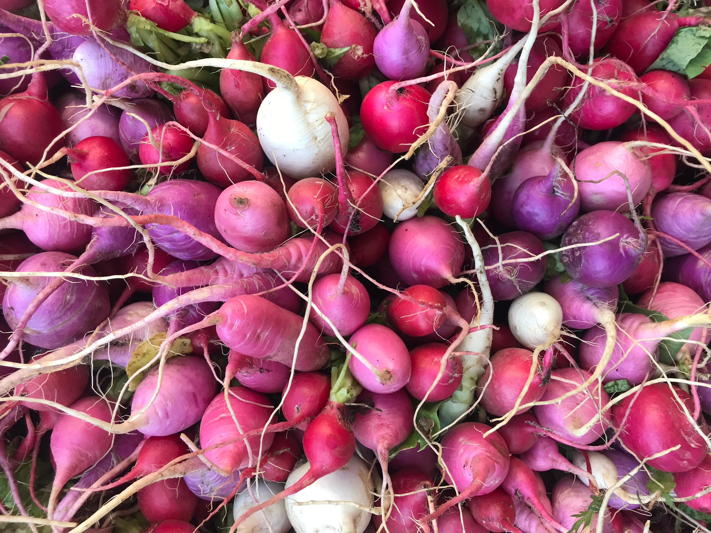 RhymesWithRutabaga - Etsy