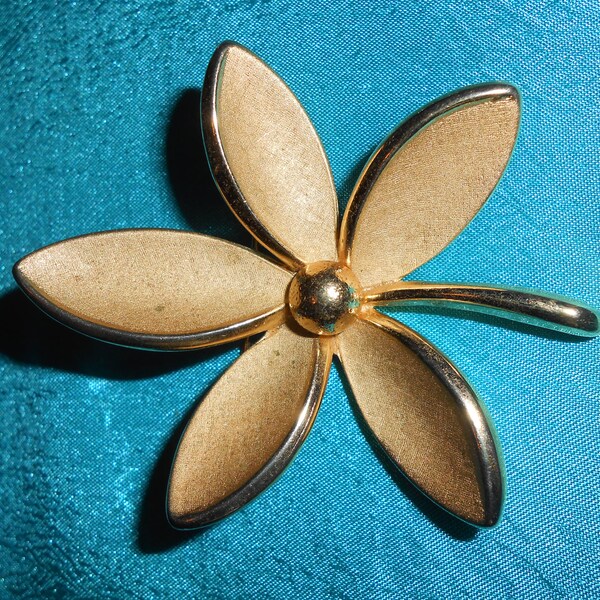 Thyme SVG and PNG, Botanical Hand Drawn Apothecary Elements, Herb ...