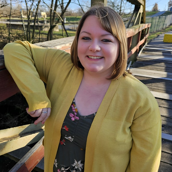 Stained Glass Cardinal Spinner Digital Design Download Png File - Etsy