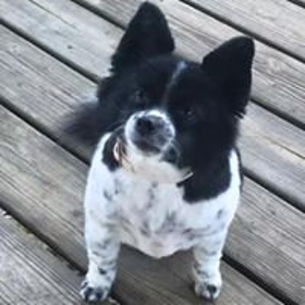 Red Distressed Letter PNG, Distressed Alphabet PNG, Teal Splatter ...