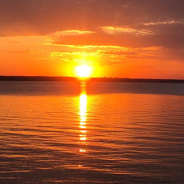 Rhodesian Ridgeback, African Lion Boy, African Lion Girl, Dog Keyring ...