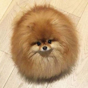 Nerd Patch Smart, Geek, Brainiac, Techie, Programmer Badge 3 iron On - Etsy