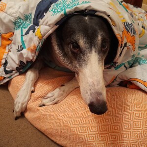 Italian Greyhound Bride and Groom Cake Topper With Grey Hound Dog ...