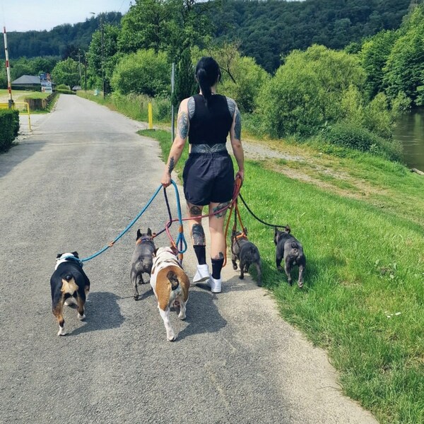 Siamese Cat Coin Purse.hand Painted Bag Small Synthetic Leather ,zipper ...