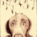 DavidSaralloArt - Etsy