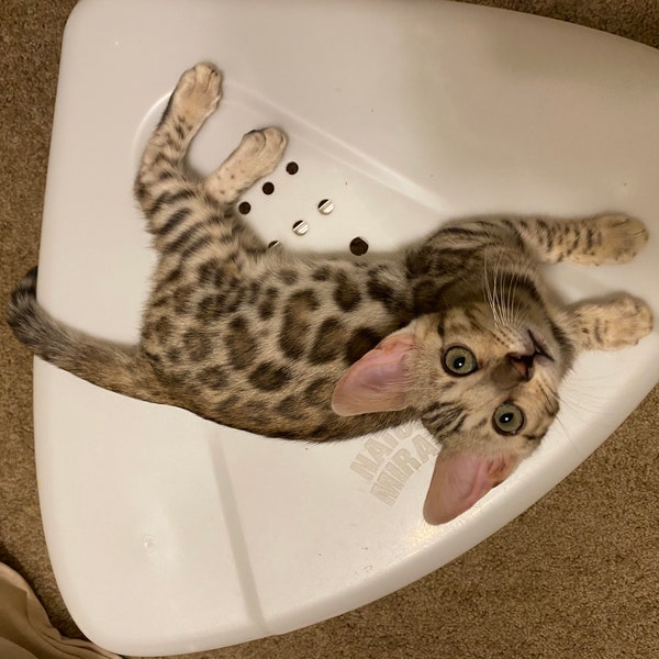 Om Symbol Om Sign Om Shape 160149 - Etsy