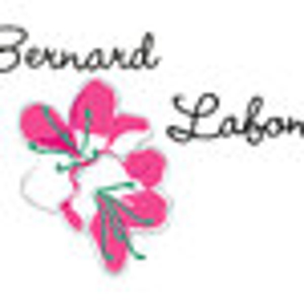 BernardLafond - Etsy