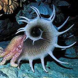 Sphere Paper Lamp Shade, Printable Lampshade, Papercraft Pdf Template ...