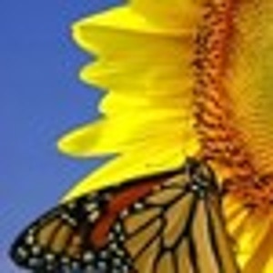 First Day of School Sign, Seventh Grader, Starting 7th Grade, 2024-2025 ...