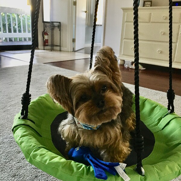 Turkey Activity Pack, Thanksgiving Preschool Printables, Preschool Math ...