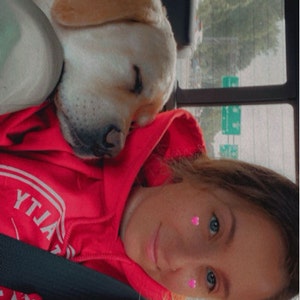 INBETWEENERS Hand Drawn Clip Art Illustration Design Elements 14 X PNG ...